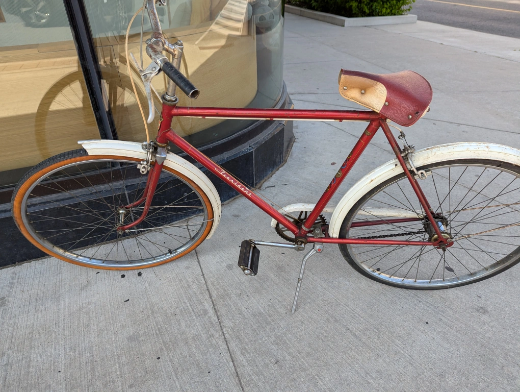 1950s '60s vintage bike 3 speed | Karrot